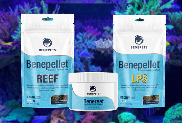 Benepets whole-biome nutrition